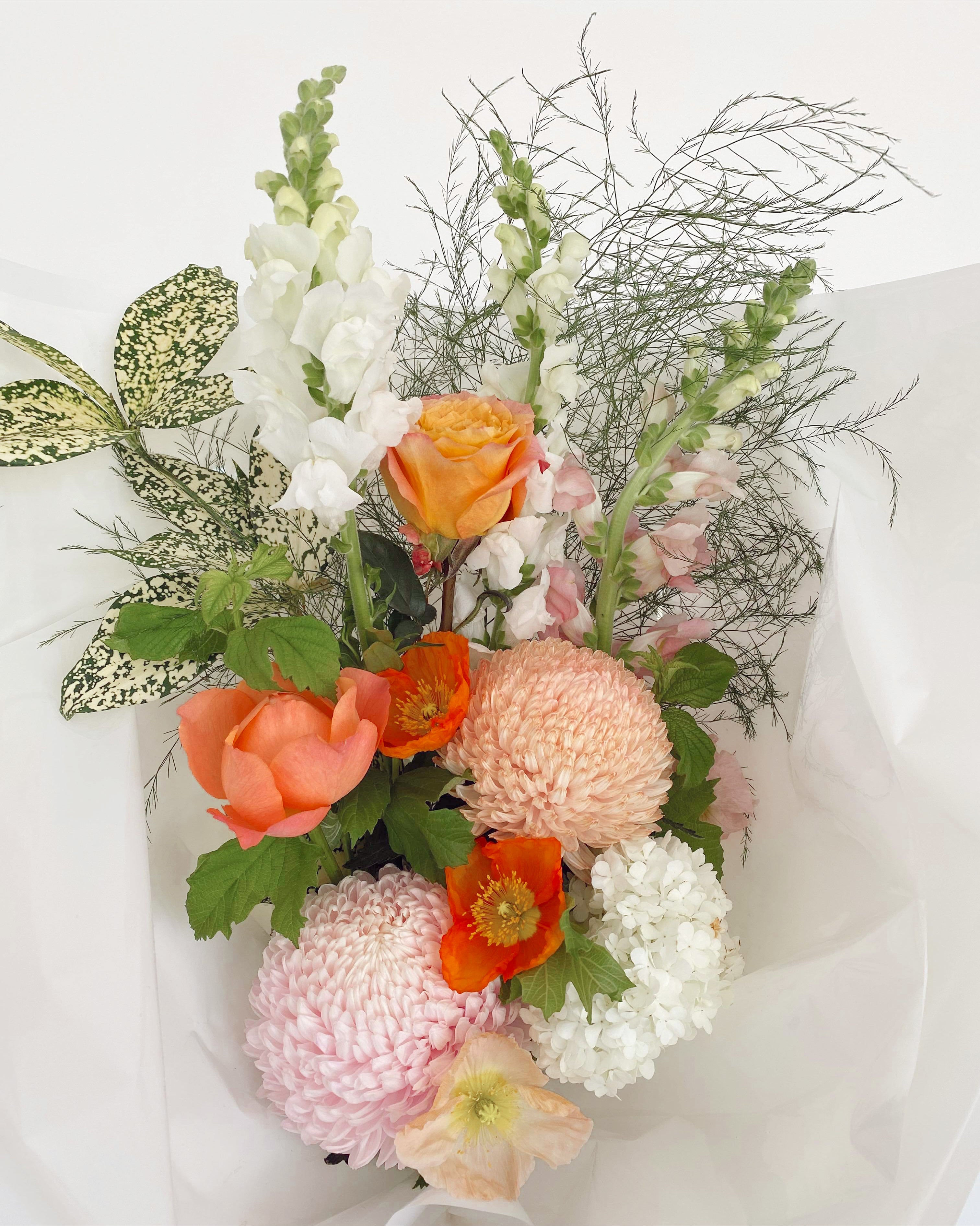 Poppy Lane's Surprise – Poppy Lane Long Jetty